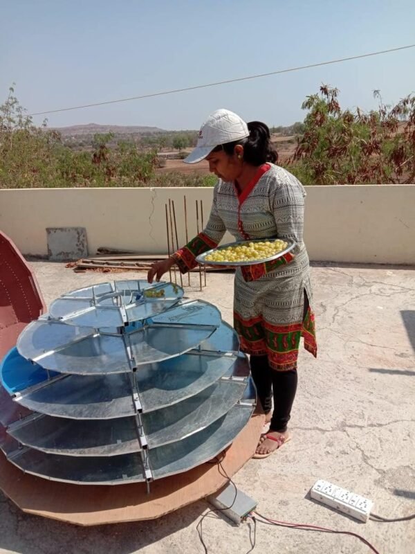 Raisin making trial no 1 | DESIGN INNOVATION CENTER