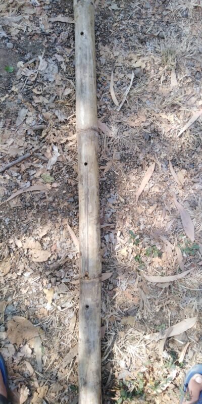 BAMBOO | DESIGN INNOVATION CENTER