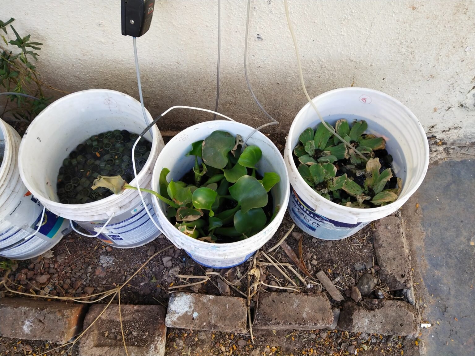 Black Water Treatment | DESIGN INNOVATION CENTER