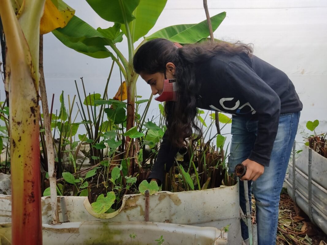 LED Hydroponics | DESIGN INNOVATION CENTER
