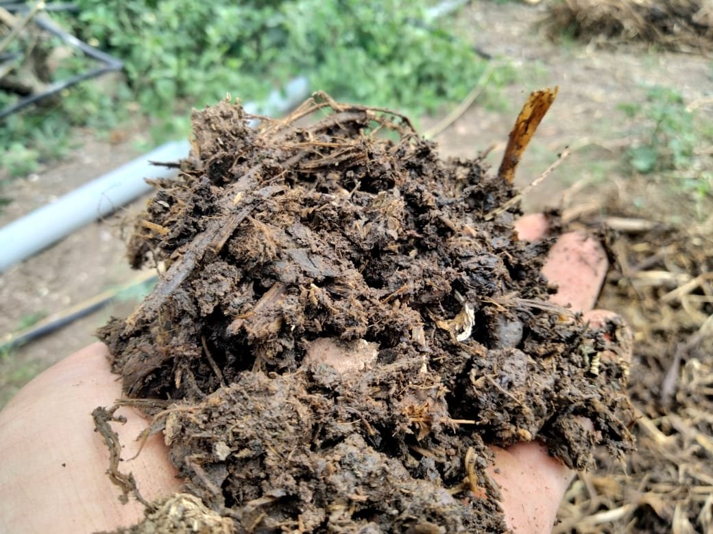 Bio-Slurry As Fertilizer | DESIGN INNOVATION CENTER