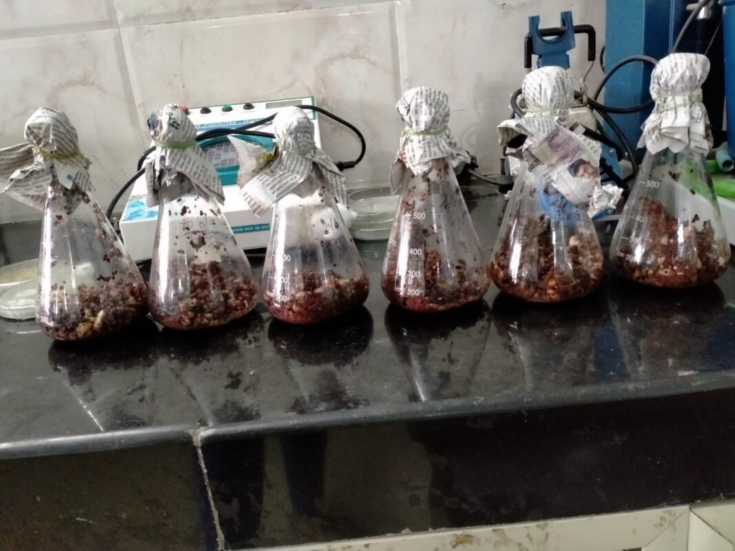 Isolation and Mass Multiplication of Trichoderma viride | DESIGN ...