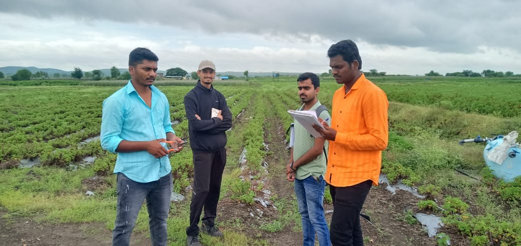 Geranium Farm | DESIGN INNOVATION CENTER