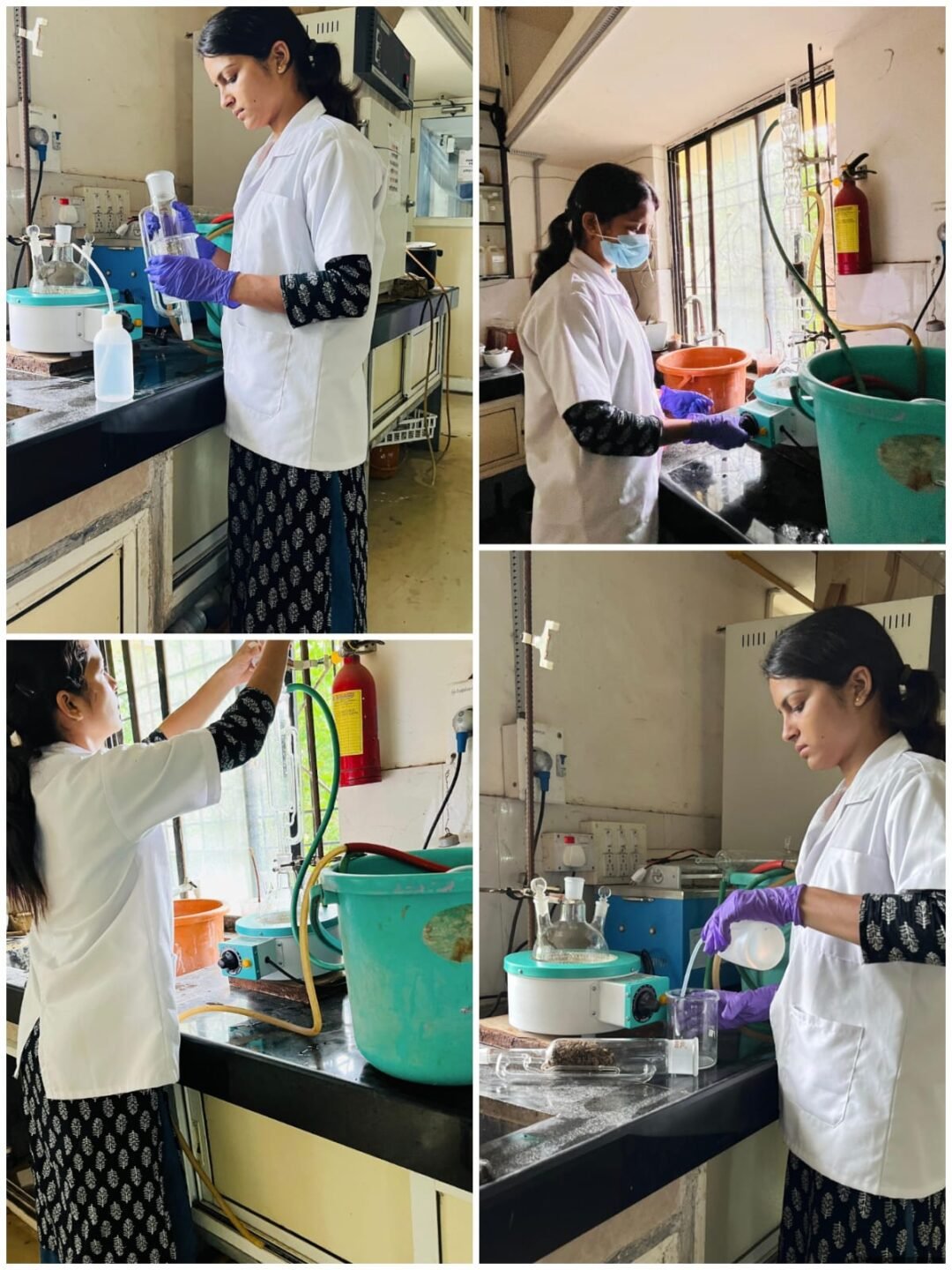 BLACK SOLDIER FLY LARVAE OIL EXTRACTION | DESIGN INNOVATION CENTER